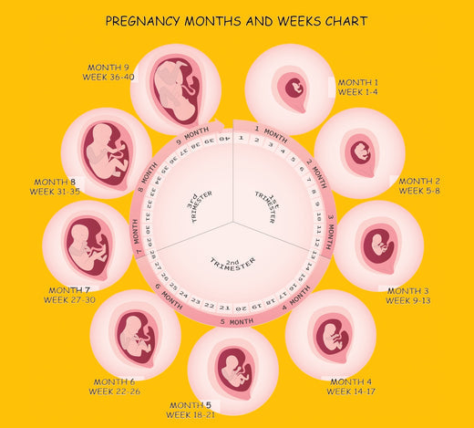 Your Pregnancy Roadmap: Tips and Things to Remember for Each Trimester ...